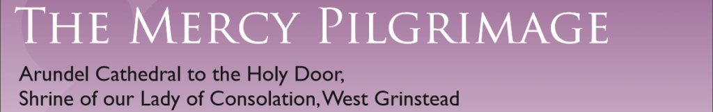 Mercy Pilgrimage | Pilgrims Live!